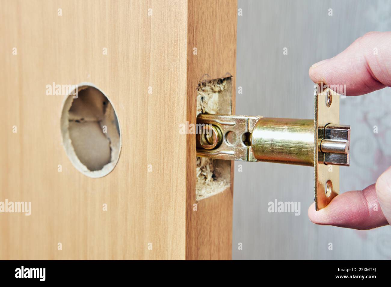 Strike plate, held in place, reveals latch mechanism extending into ...