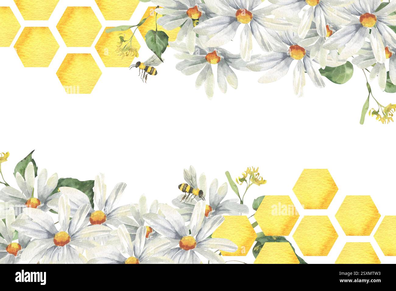 Golden honey combs hexagon with white chamomile flowers and bees ...