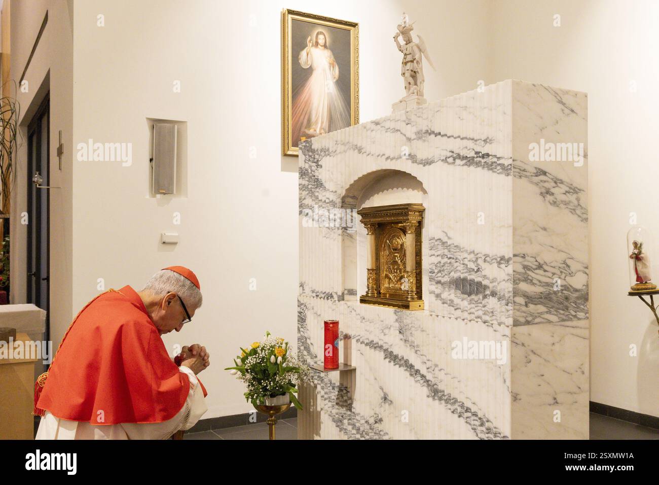 **NO LIBRI** Italy, Rome, 2025/2/22 Cardinal Carlos Gustavo Castillo ...