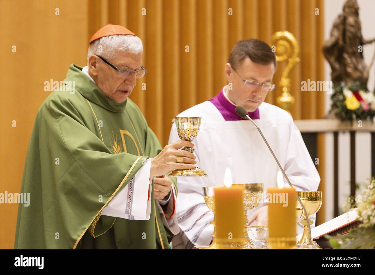 Rome, Ita. 22nd Feb, 2025. **NO LIBRI** Italy, Rome, 2025/2/22 Cardinal ...
