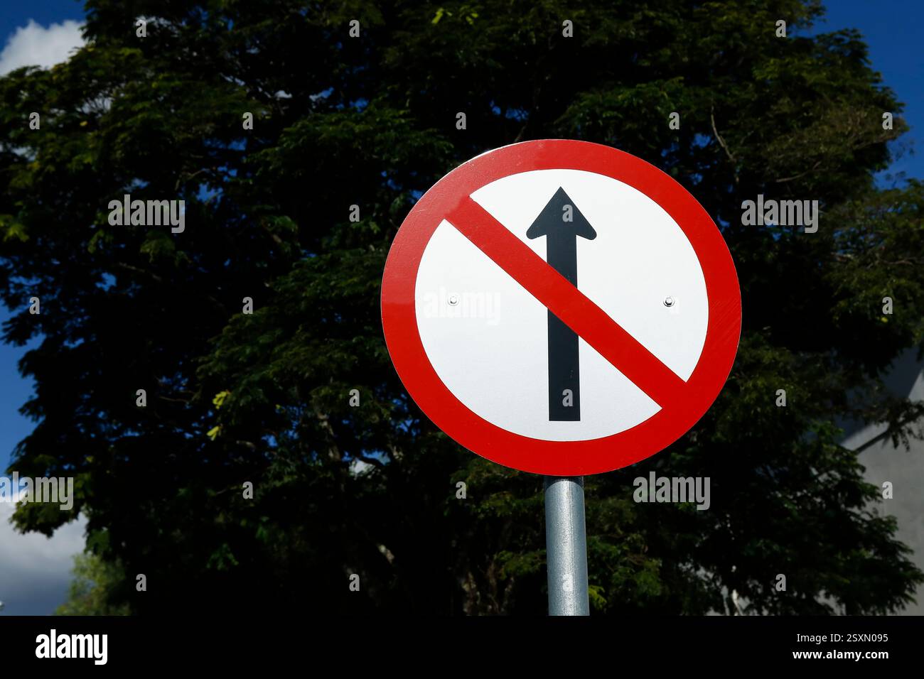 prohibited direction sign - wrong direction traffic signal Stock Photo ...