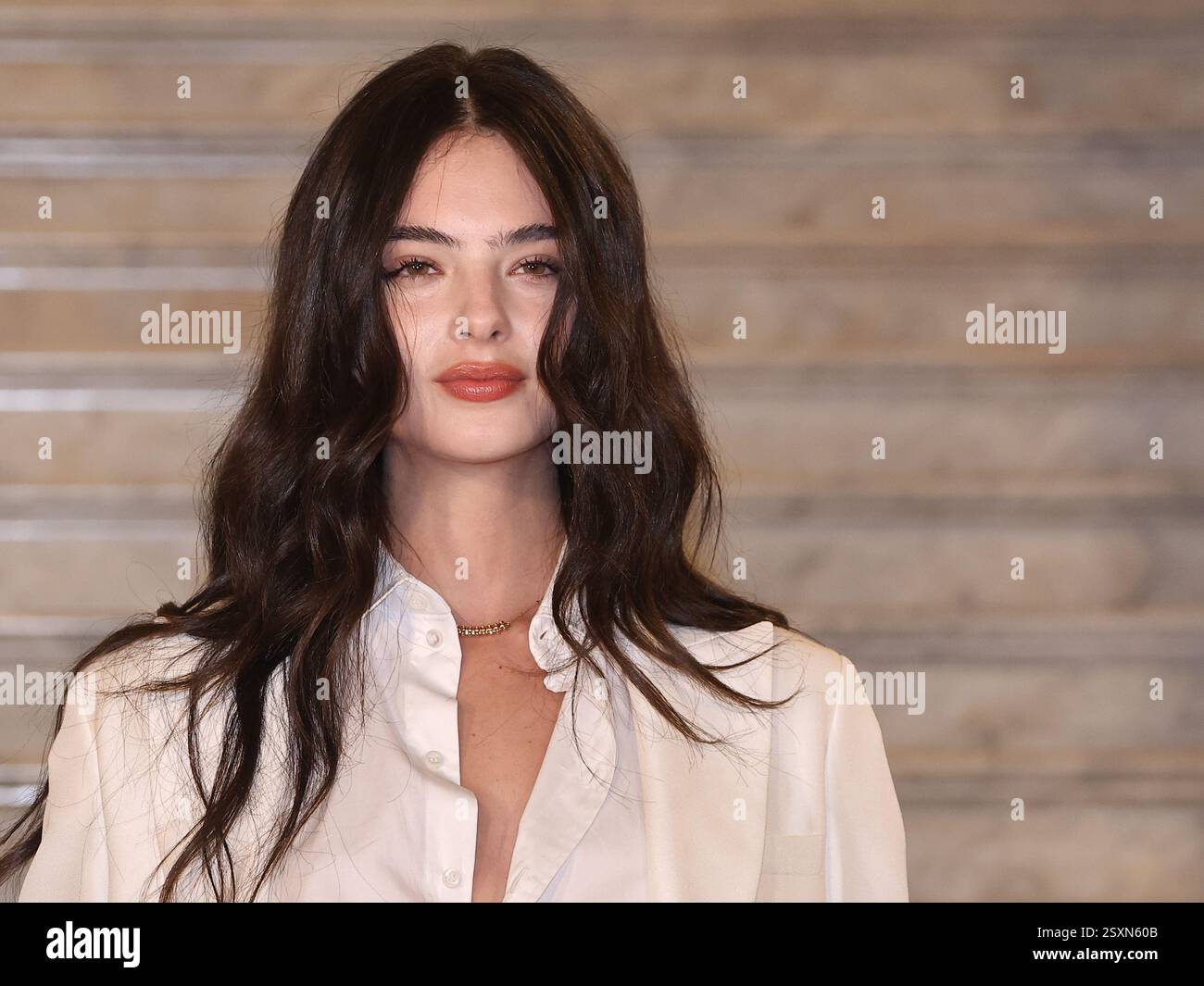 Rome, Italy. 25th Feb, 2025. Rome, Plaza Hotel, photocall Netflix series "The Leopard". In the ...