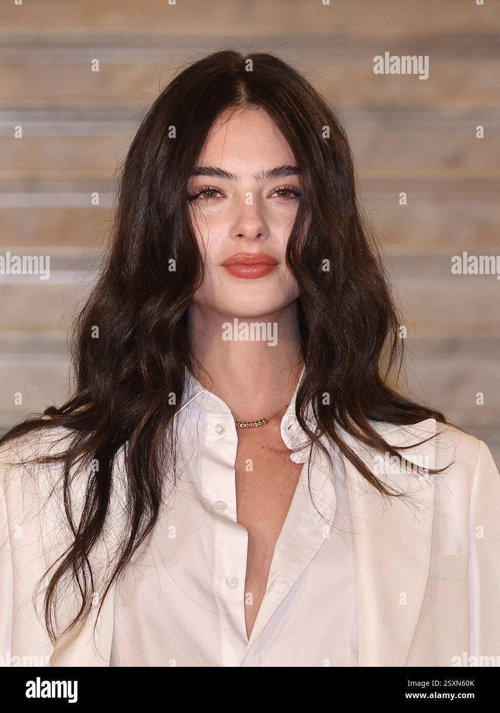 Rome, Italy. 25th Feb, 2025. Rome, Plaza Hotel, photocall Netflix series "The Leopard". In the ...