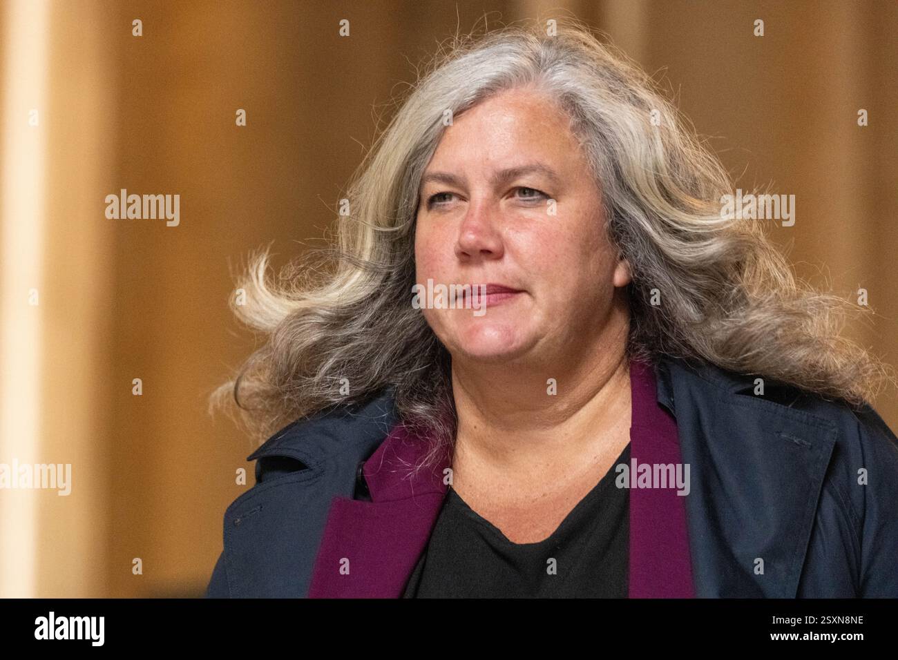London, UK. 25th Feb, 2025. Heidi Alexander, Transport Secretary, at a ...