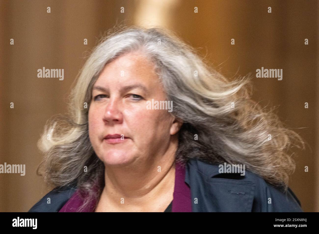 London, UK. 25th Feb, 2025. Heidi Alexander, Transport Secretary, at a ...