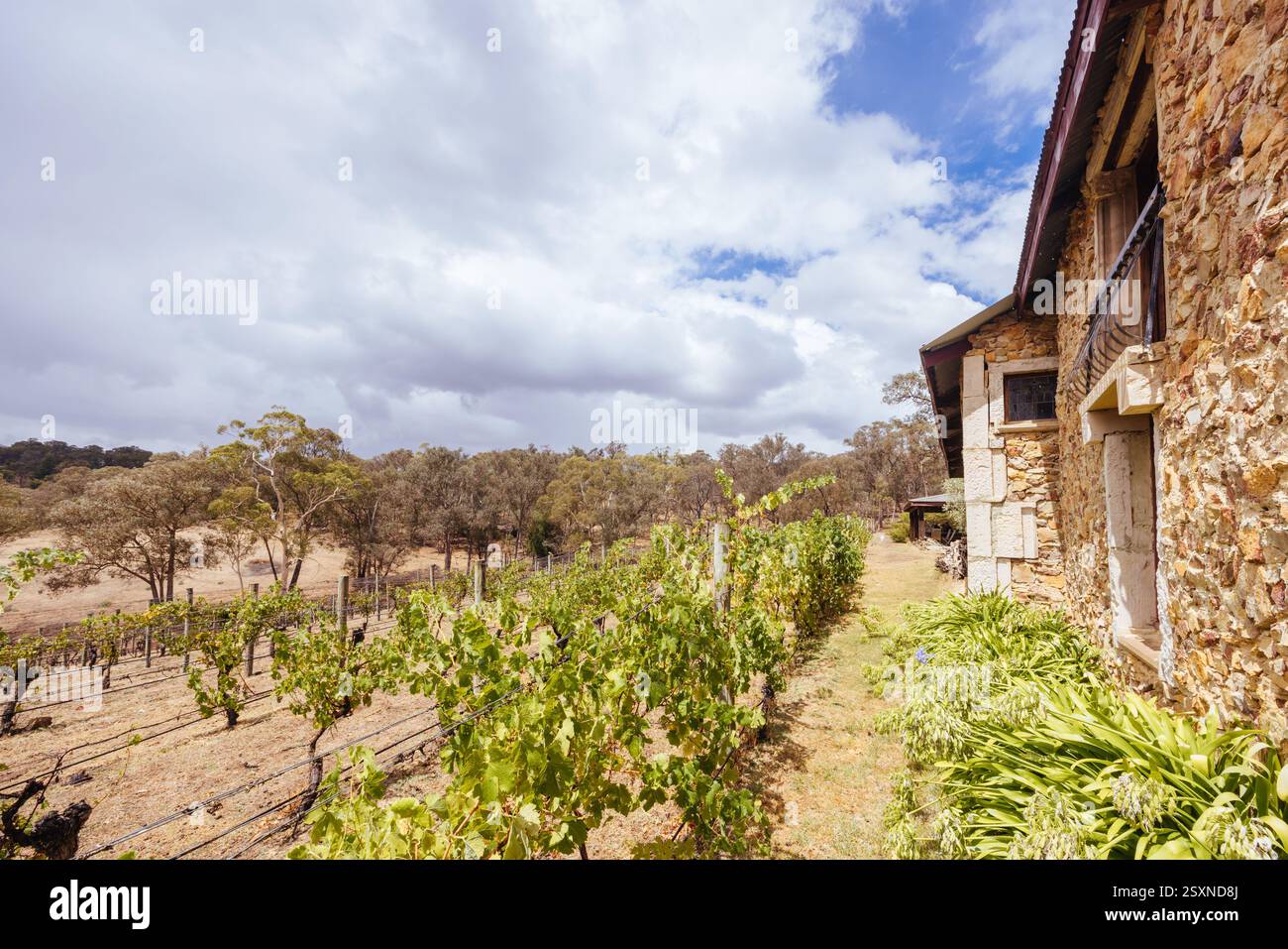Panton Hill Winery in Melbourne Australia Stock Photo - Alamy