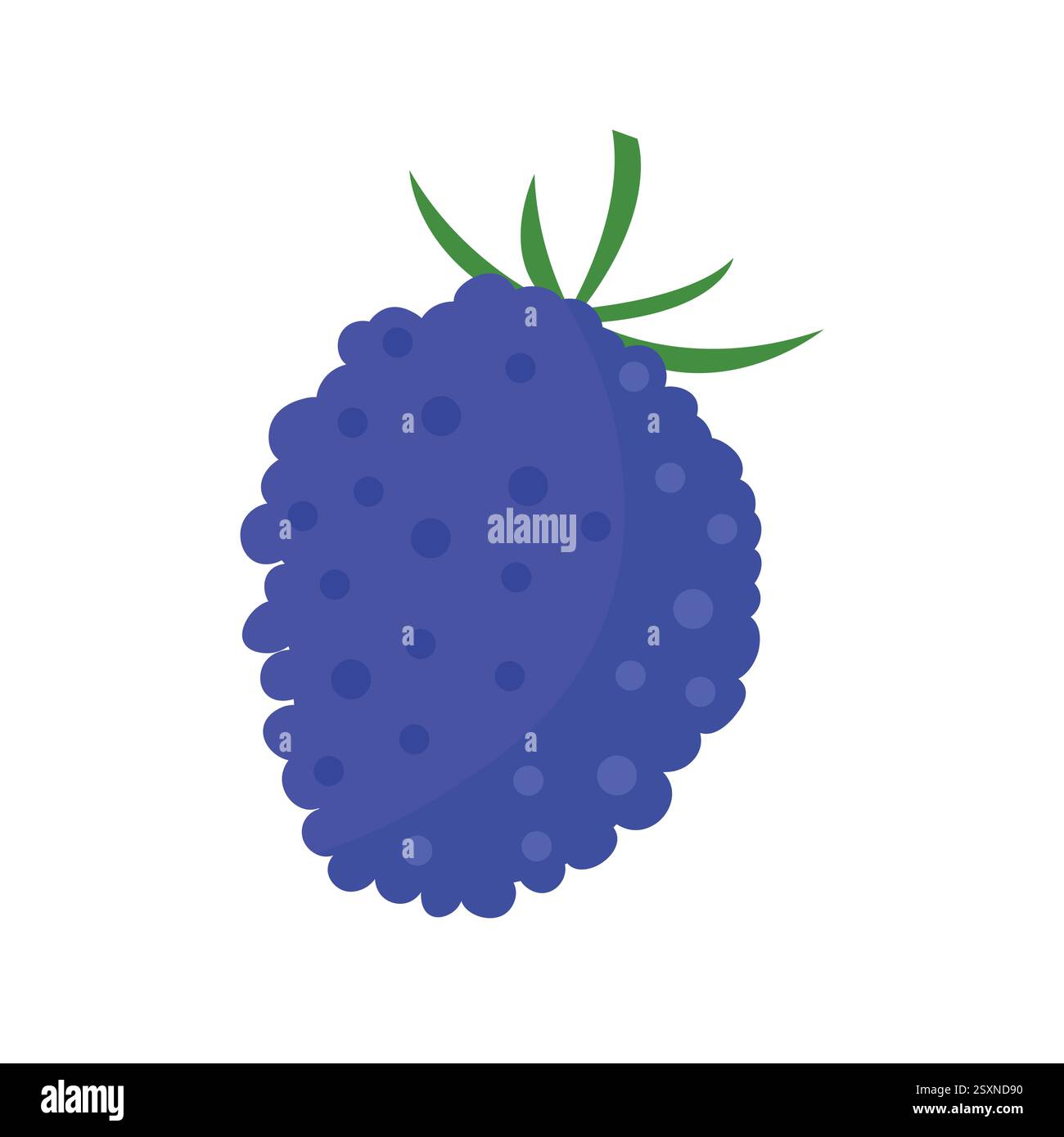 Illustration of a blue blackberry with green leaves, showing textured ...