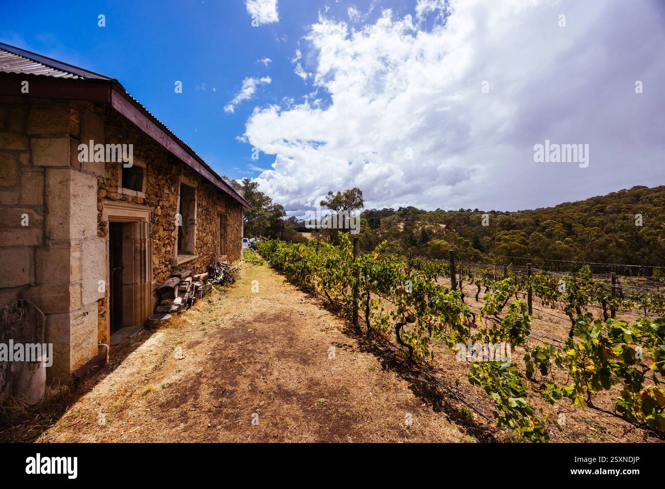 Panton Hill Winery in Melbourne Australia Stock Photo - Alamy