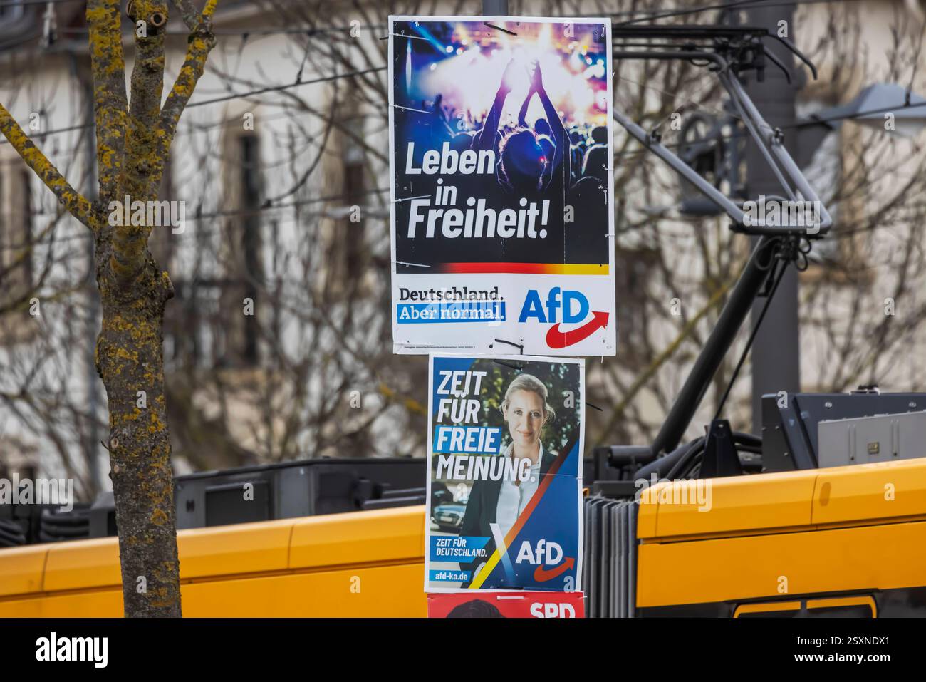 Wahlplakat der Partei AfD zur Bundestagswahl 2025. BTW25. // 24.02.2025 ...