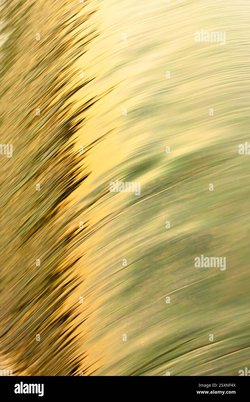 The image is a blurry, abstract painting of a tree with leaves. The ...