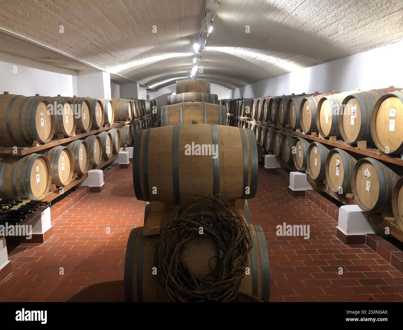 Underground wine storage cellar hi-res stock photography and images - Alamy
