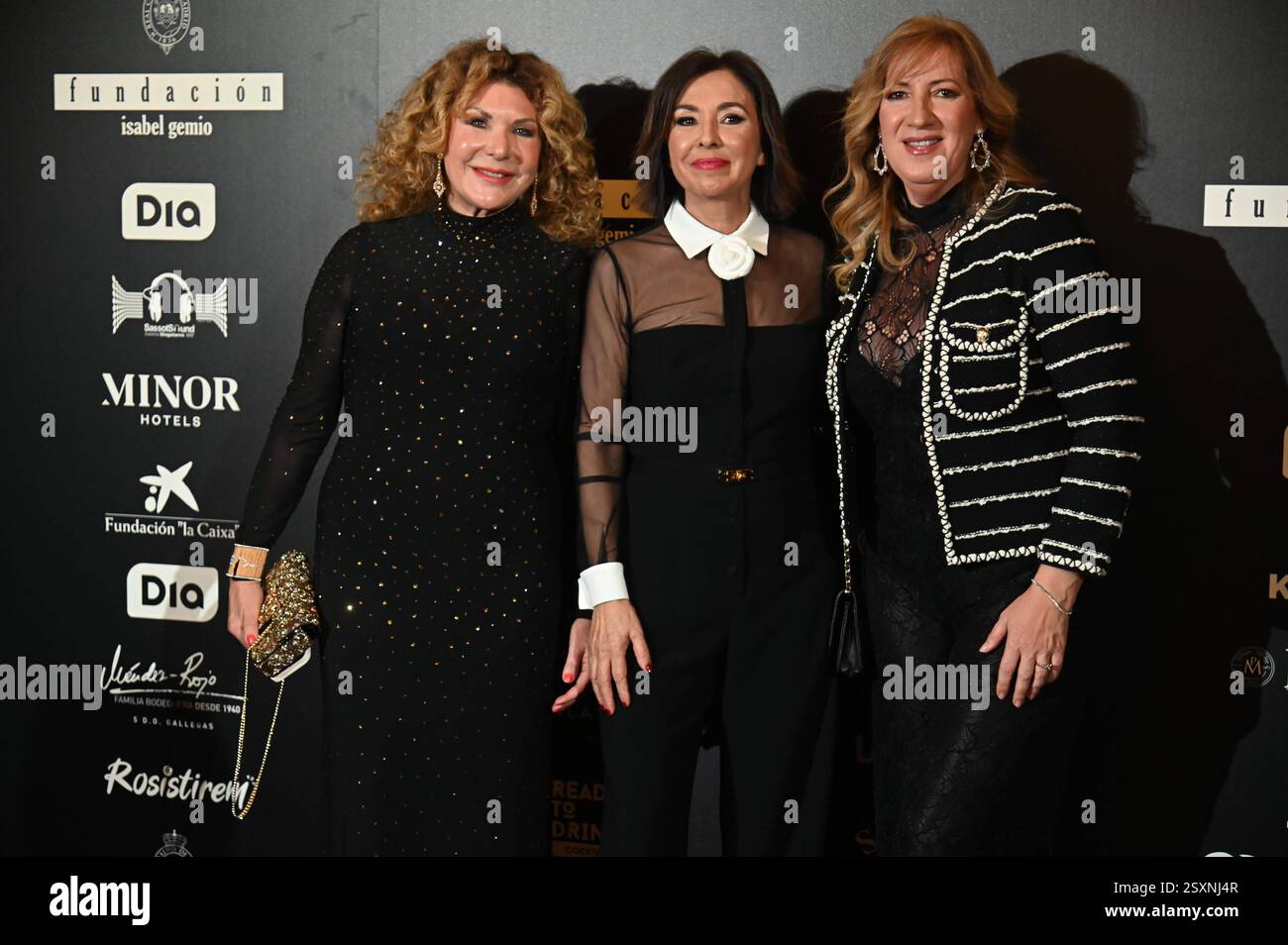 Madrid, Spain. 24th Feb, 2025. Isabel Gemio attending 17 anniversary of ...