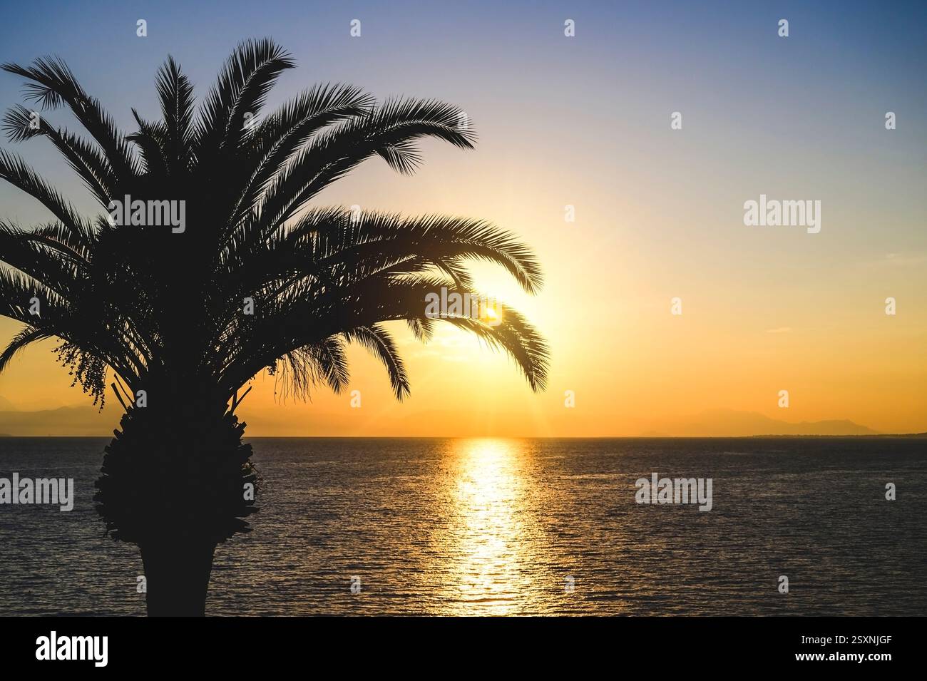 Palm tree beautiful sunset hi-res stock photography and images - Alamy