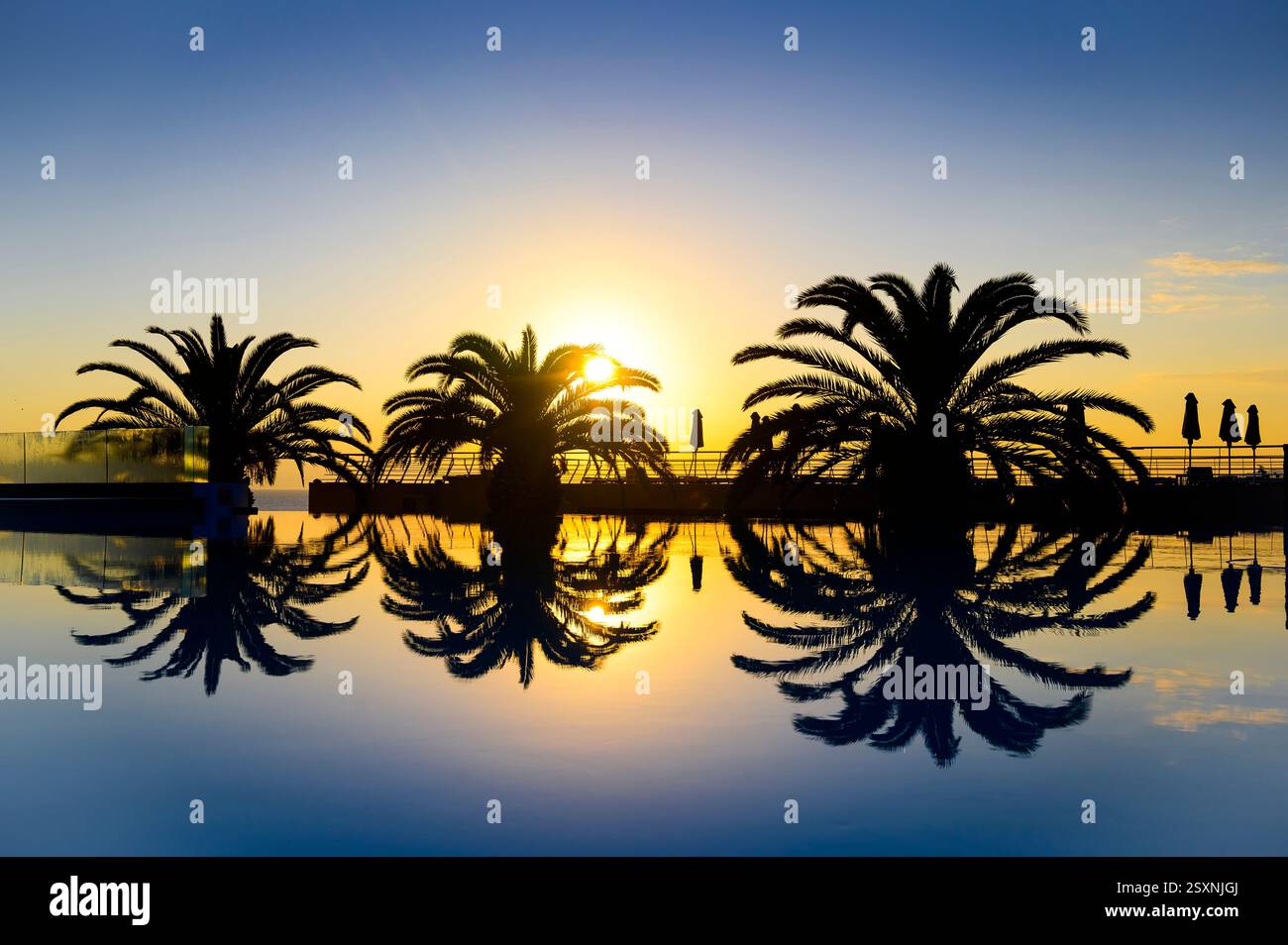 Infinity pool with a beautiful sunset and palm trees Stock Photo - Alamy
