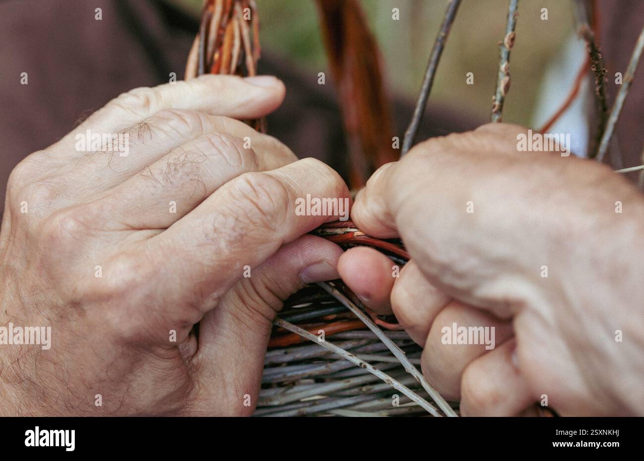 Close up of craftsman's hands weaving wicker branches, creating a handmade basket with ...