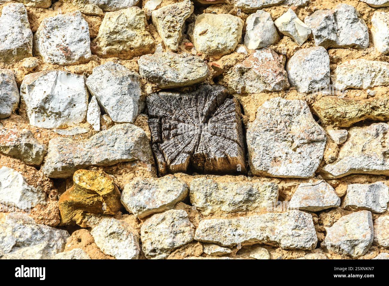End grain of weathered structural Oak beam protruding from stone wall ...