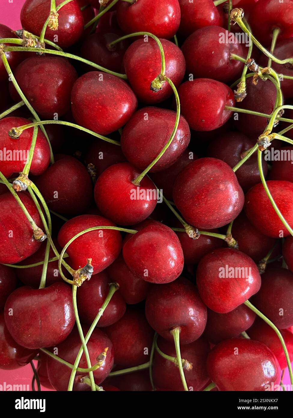 The image shows a close-up of ripe red cherries with stems. The ...