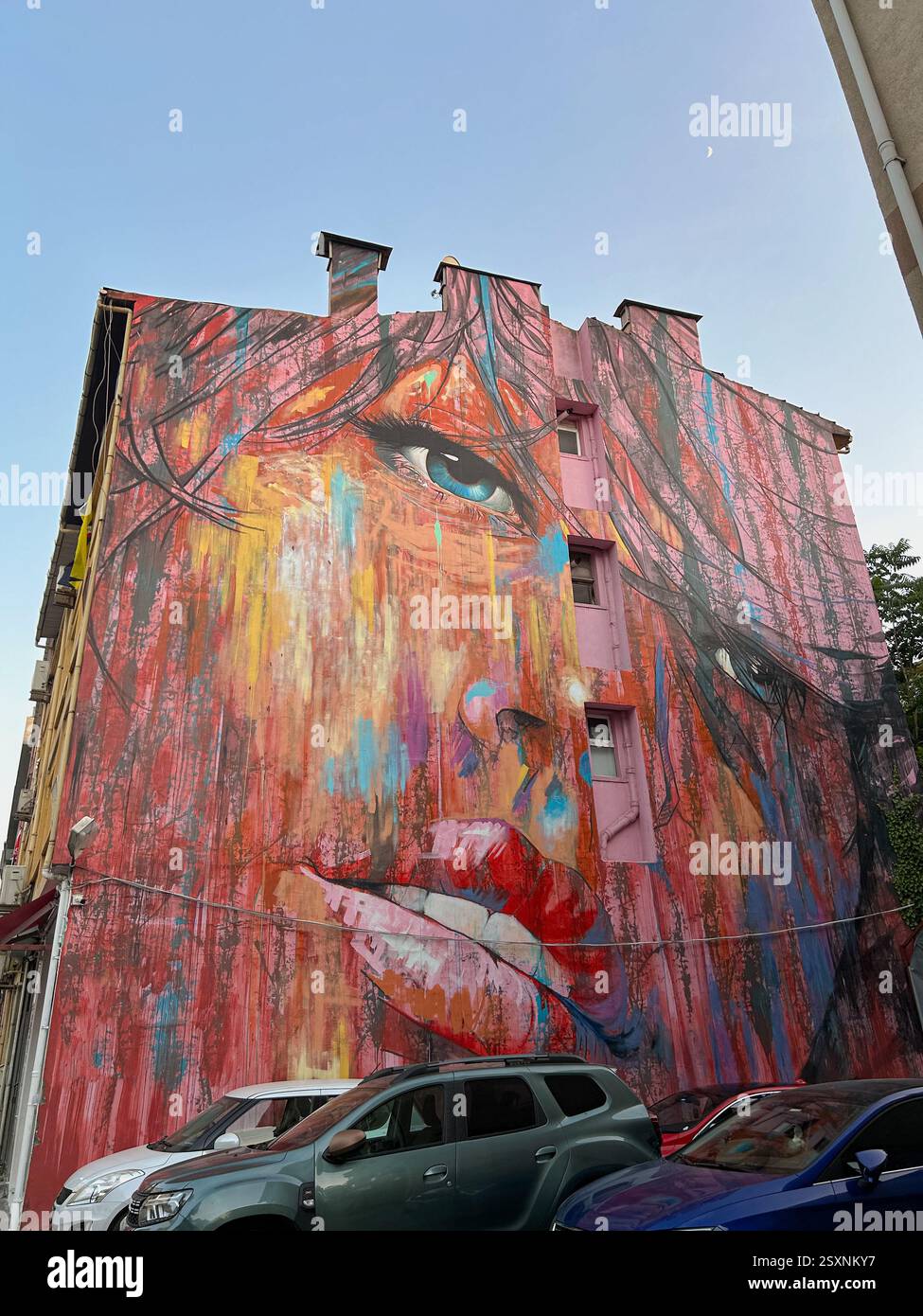 The image shows a large-scale mural of a woman's face covering the side ...