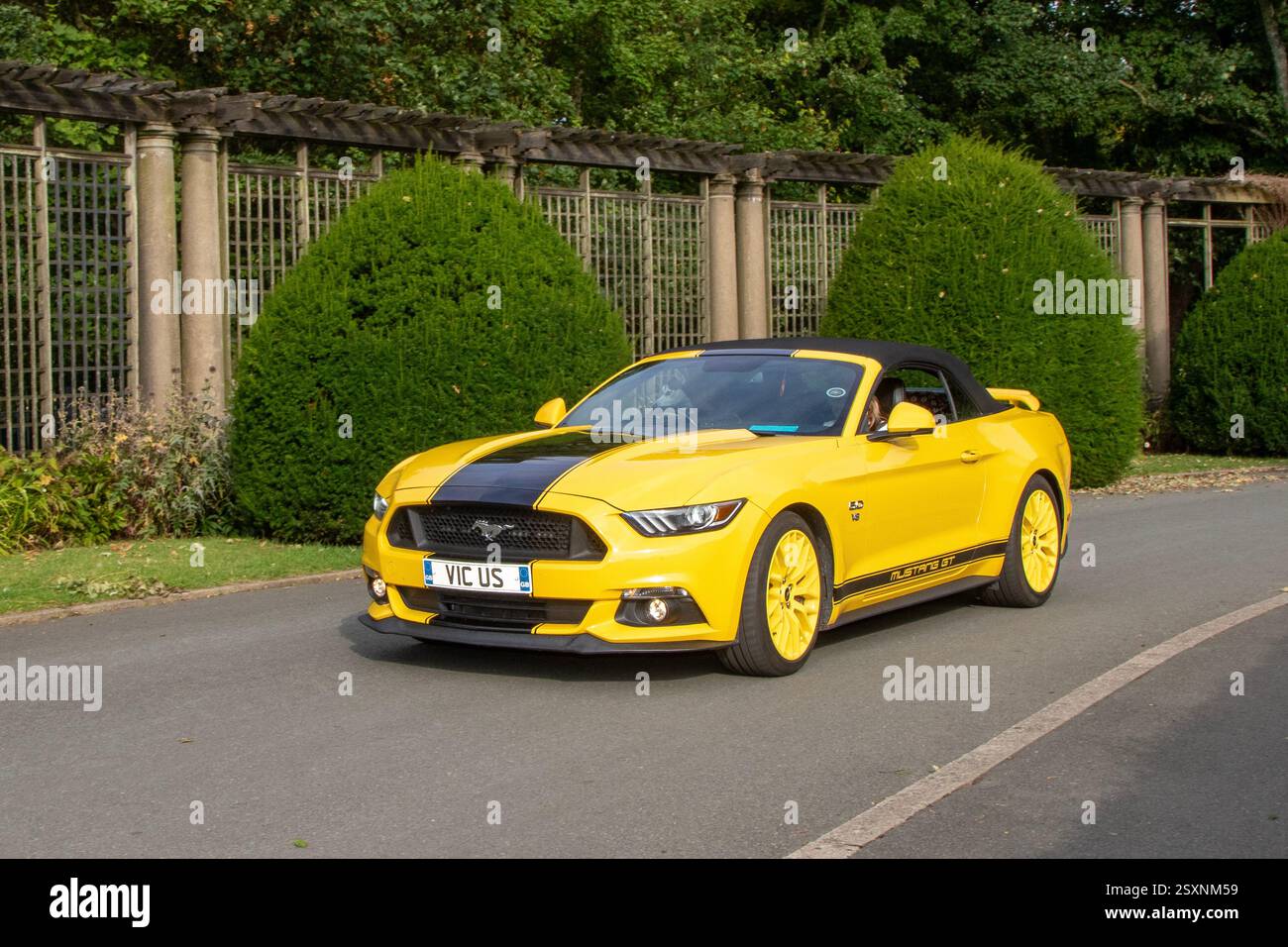 2015 Yellow Ford Mustang American roadster being driven in the historic grounds of Stanley Park ...
