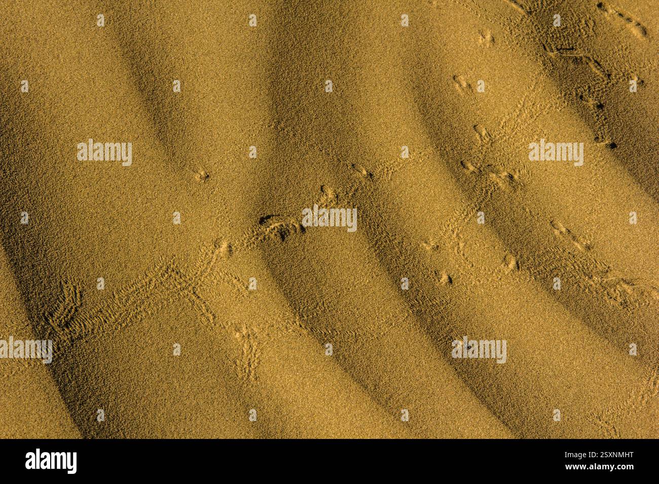 Sandy beach with a tan color. The sand is very fine and the beach is ...