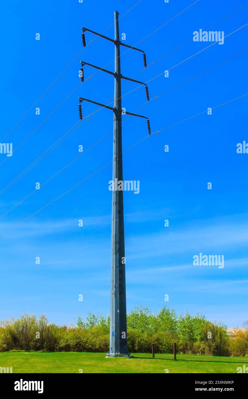 Tall power pole with wires on top. The pole is in a field. The sky is ...