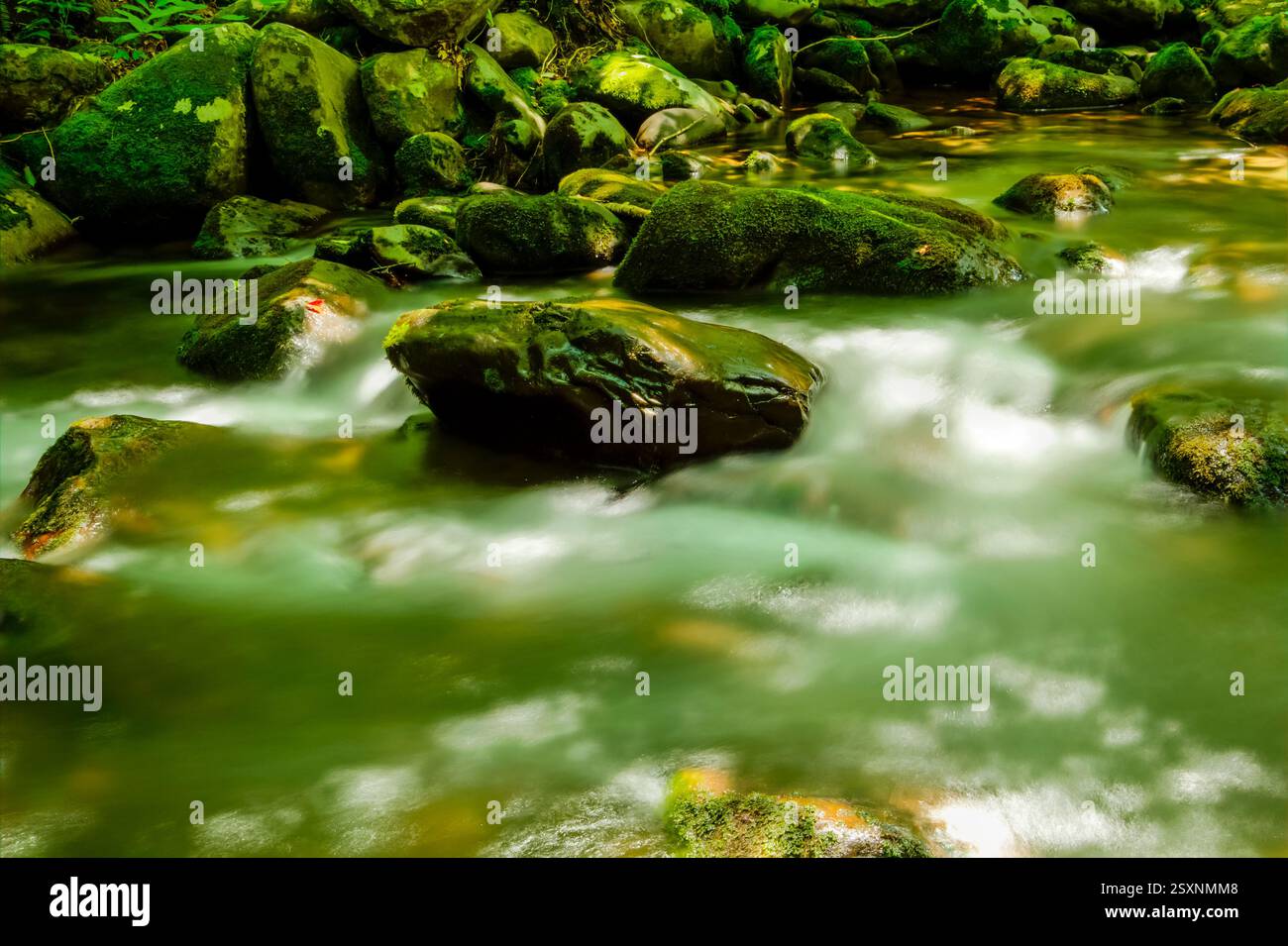 Stream of water is flowing between rocks. The water is green and clear ...