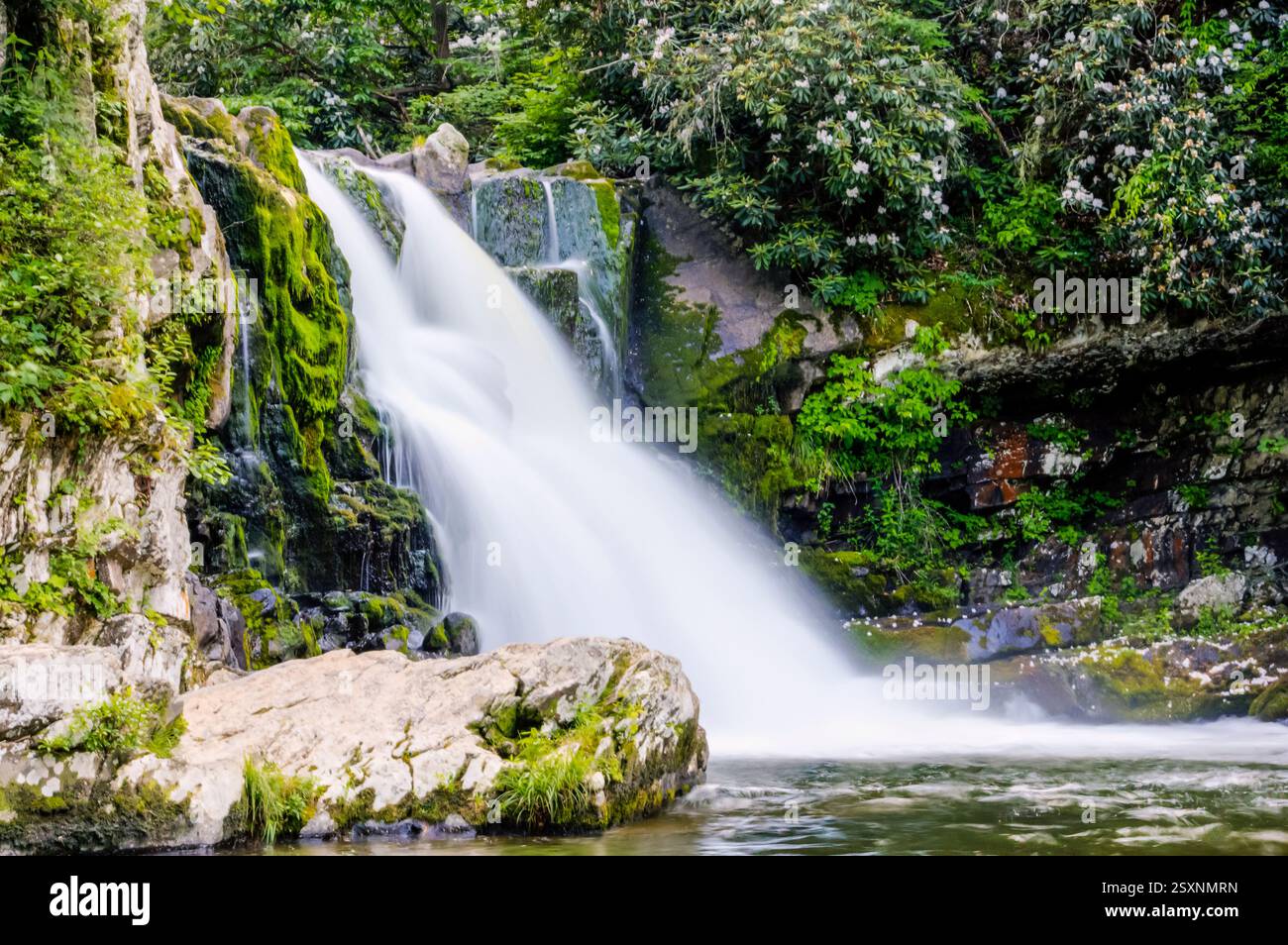 Waterfall is flowing into a river. The water is clear and the rocks are ...