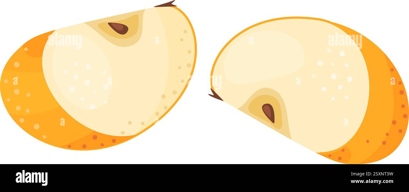 Yellow ripe half apple slices, fresh garden fruit. Hand drawn food ...