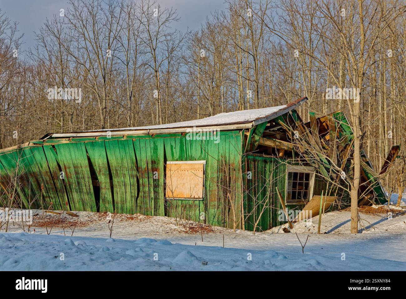 Old green barn collapses due to age and heavy snow load in winter Stock ...