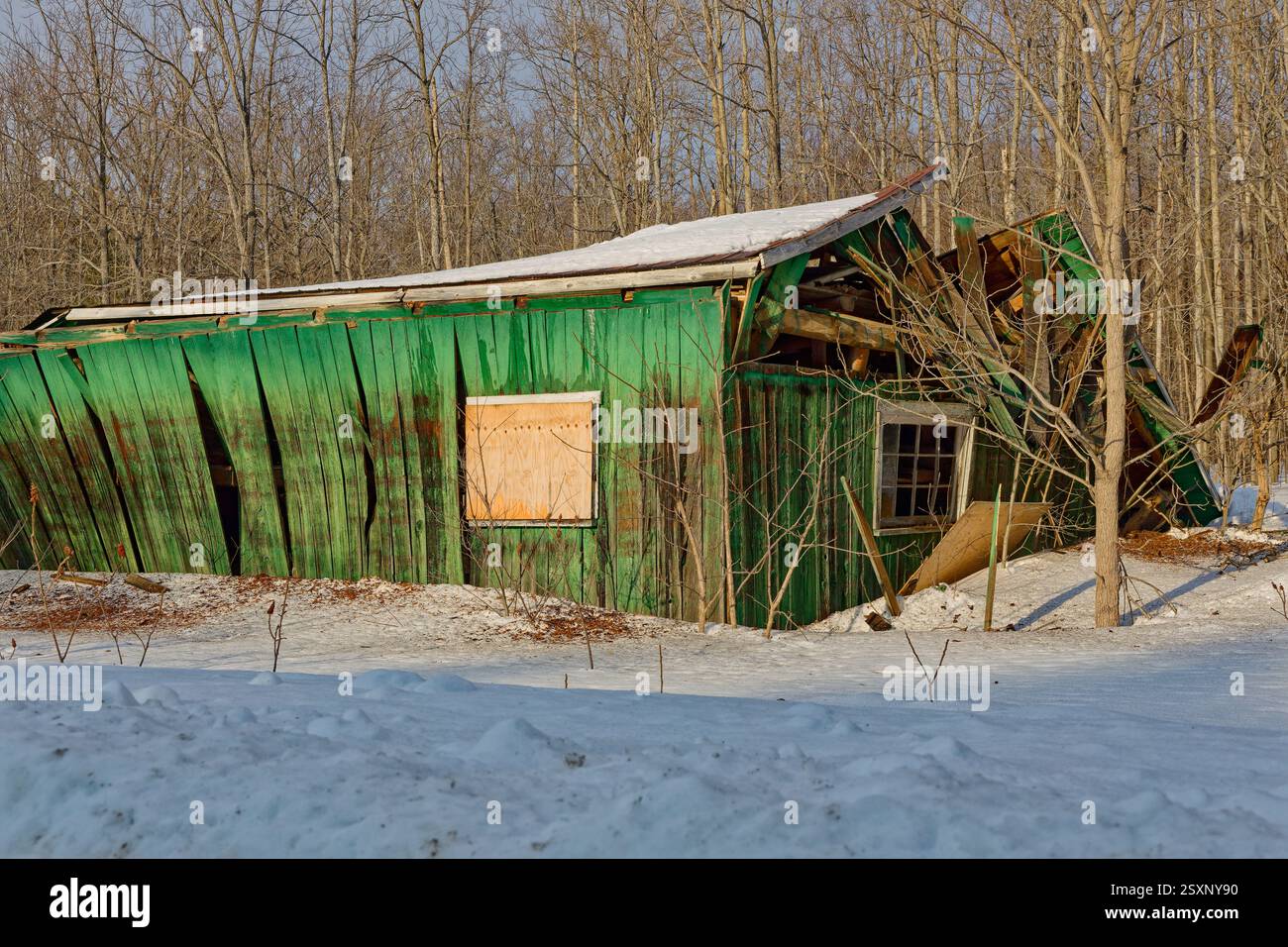 Old green barn collapses due to age and heavy snow load in winter Stock ...