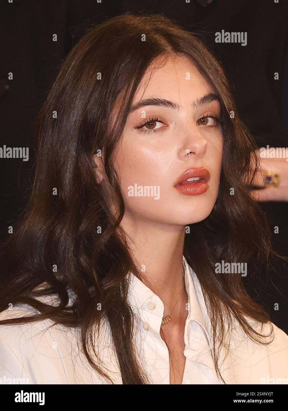 Rome, Italy. 25th Feb, 2025. Rome, Plaza Hotel, photocall Netflix series "The Leopard". In the ...