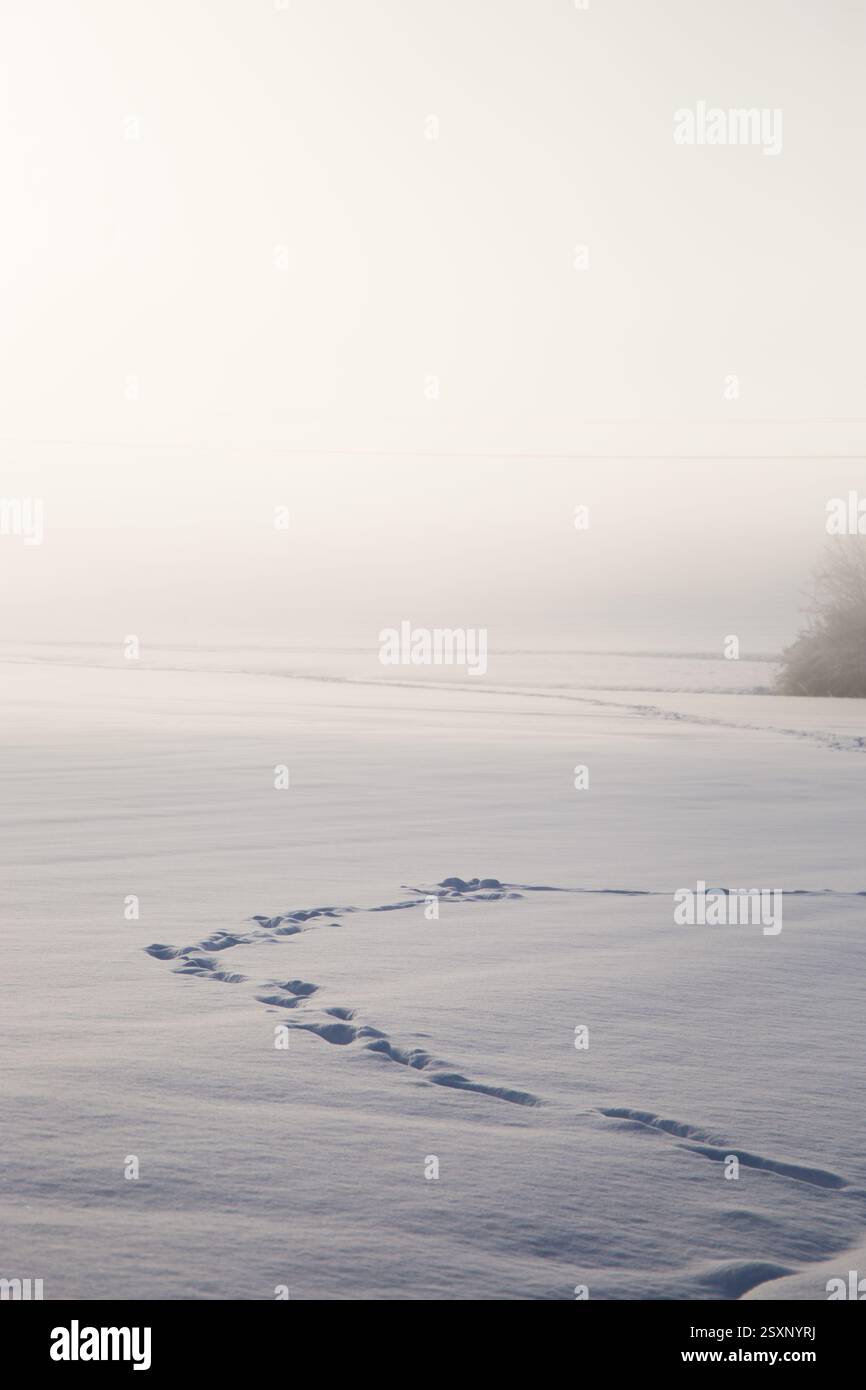 Stunning winter scenery in southern Germany with a thick blanket of ...