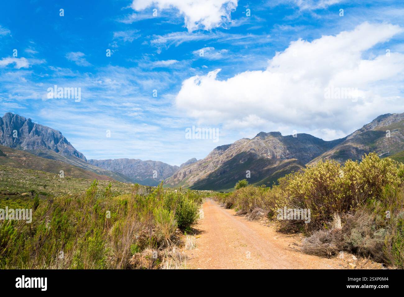 Gravel path stretching distance hi-res stock photography and images - Alamy