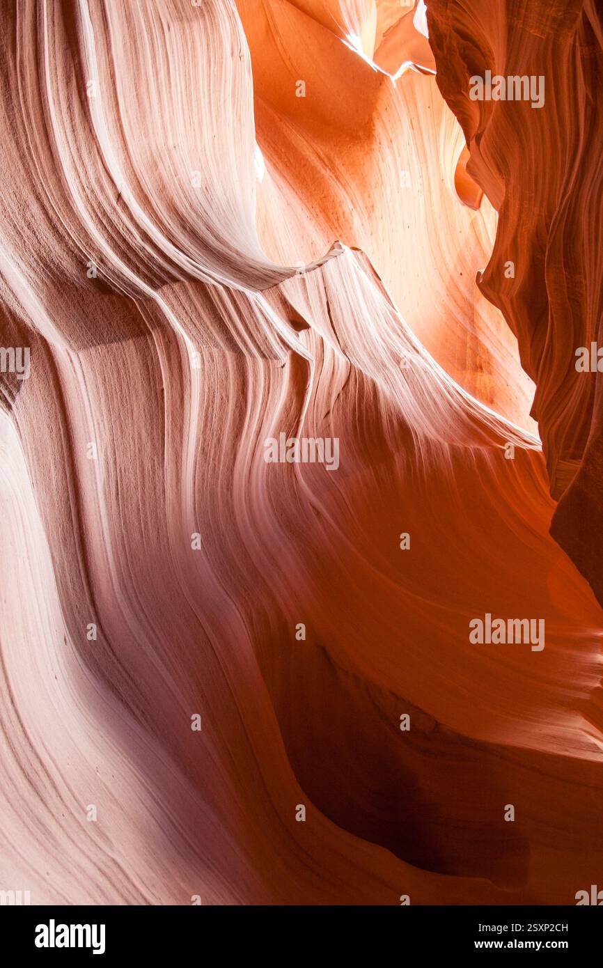 Smooth curves shaping antelope canyon walls in arizona Stock Photo - Alamy
