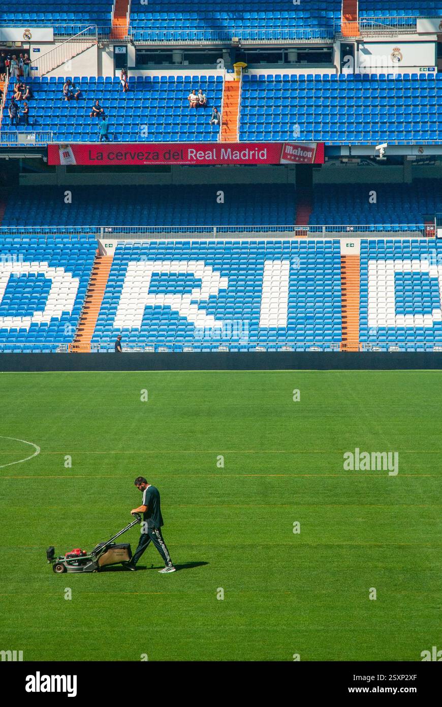 Groundsman at work at the Santiago Bernabéu Stadium, the home of Real ...