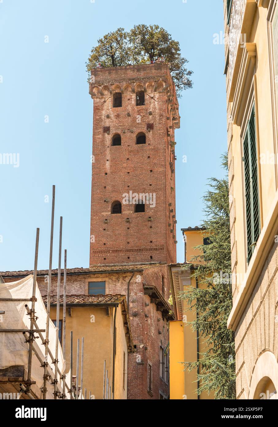 The Guinigi Tower (Torre Guinigi) is the most iconic tower in historic ...