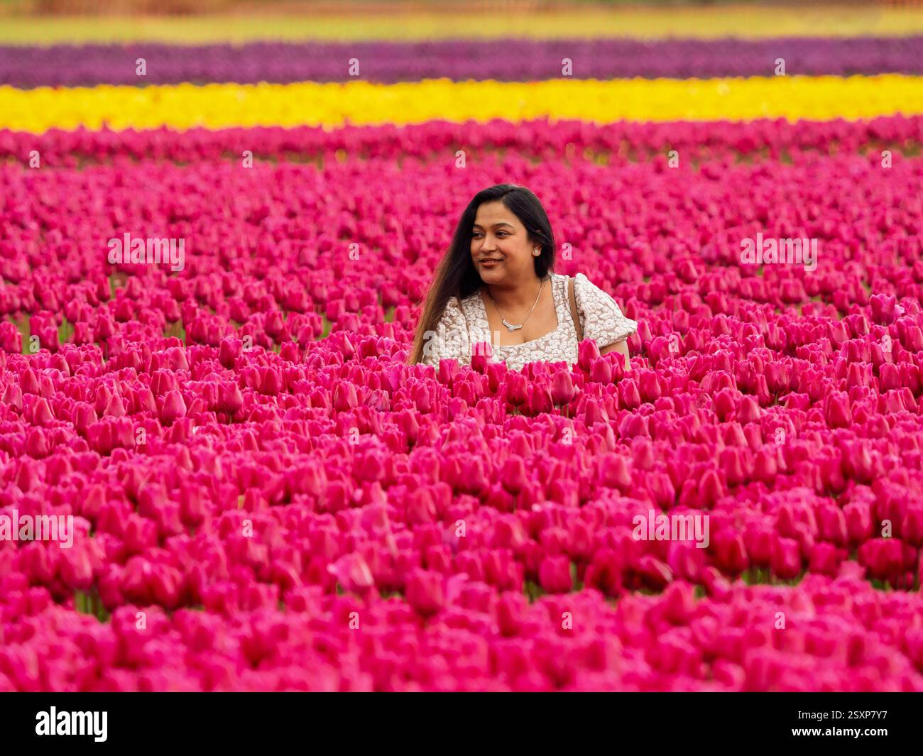 Woman pink hair capturing hi-res stock photography and images - Alamy