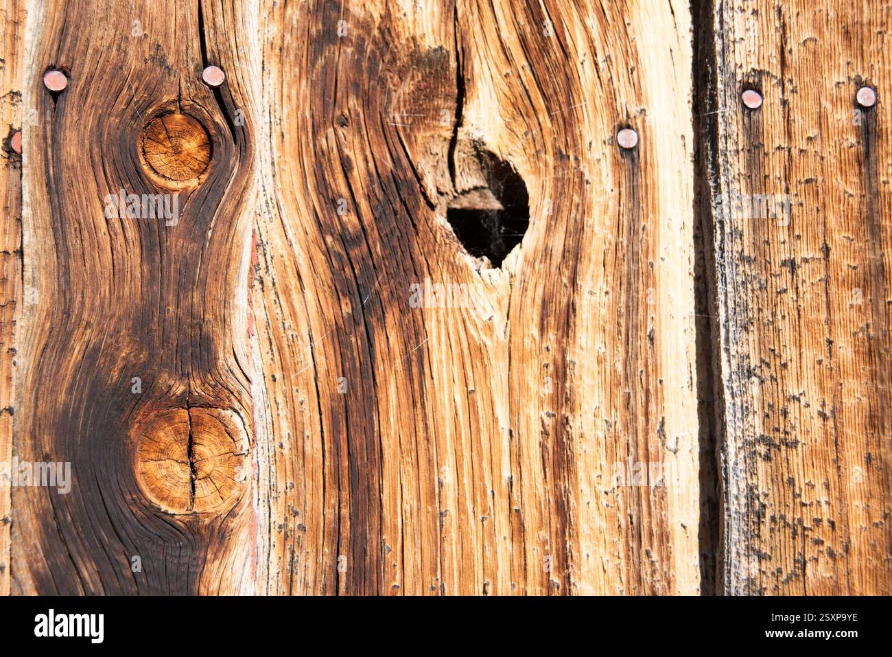 A detailed image of aged barn wood with deep grains and knots showing ...