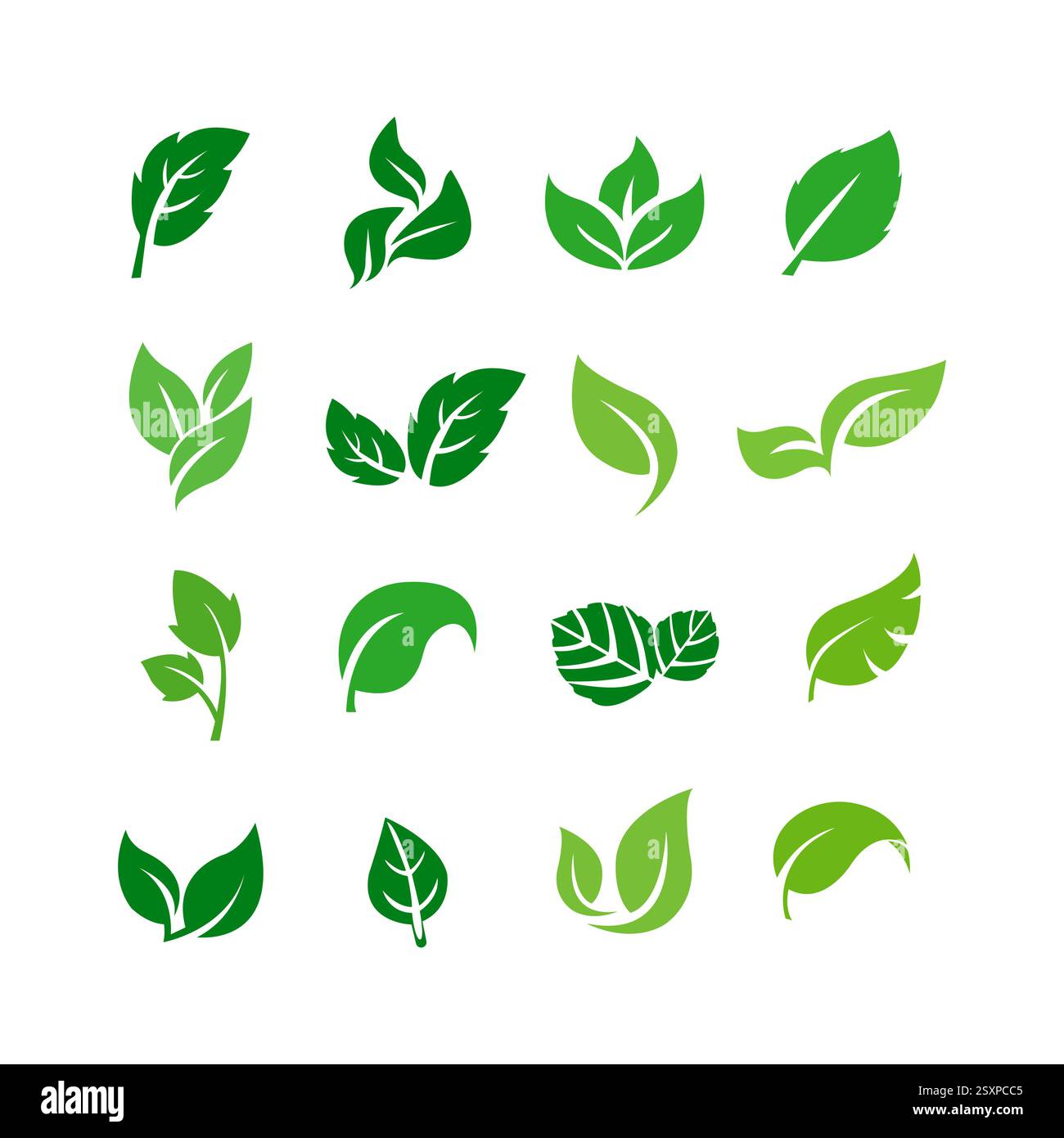 Eco green color leaf vector logo flat icon set. Isolated leaves shapes ...