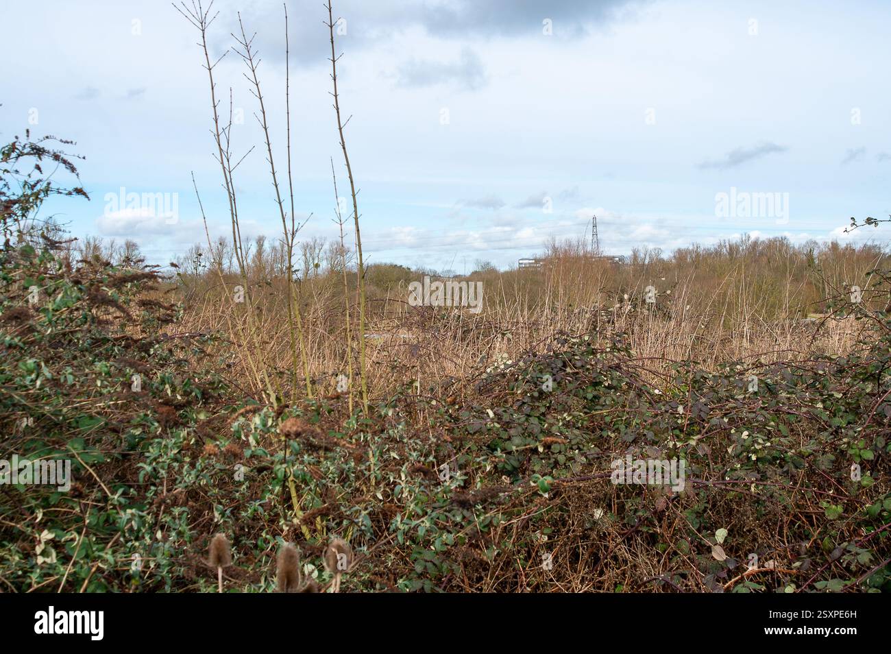 Iver, UK. 25th February, 2025. Buckinghamshire Council has given ...