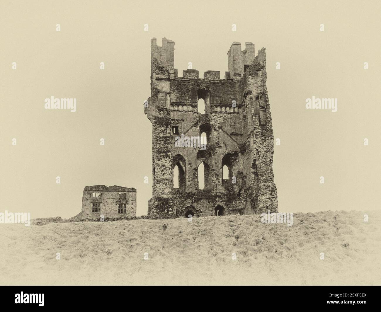 The image is of the ruins of Helmsley Castle in the North Yorkshire ...