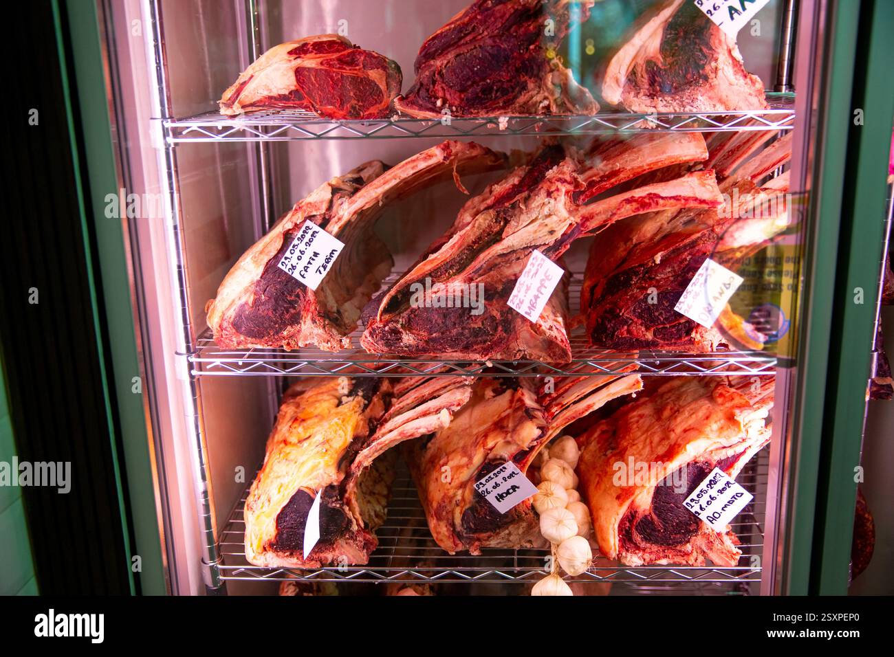Dry-aged cuts of raw meat. Dry aging cabinet with beef meat in cold ...