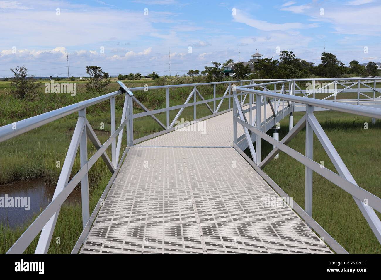 A dock path above a marsh Stock Photo - Alamy