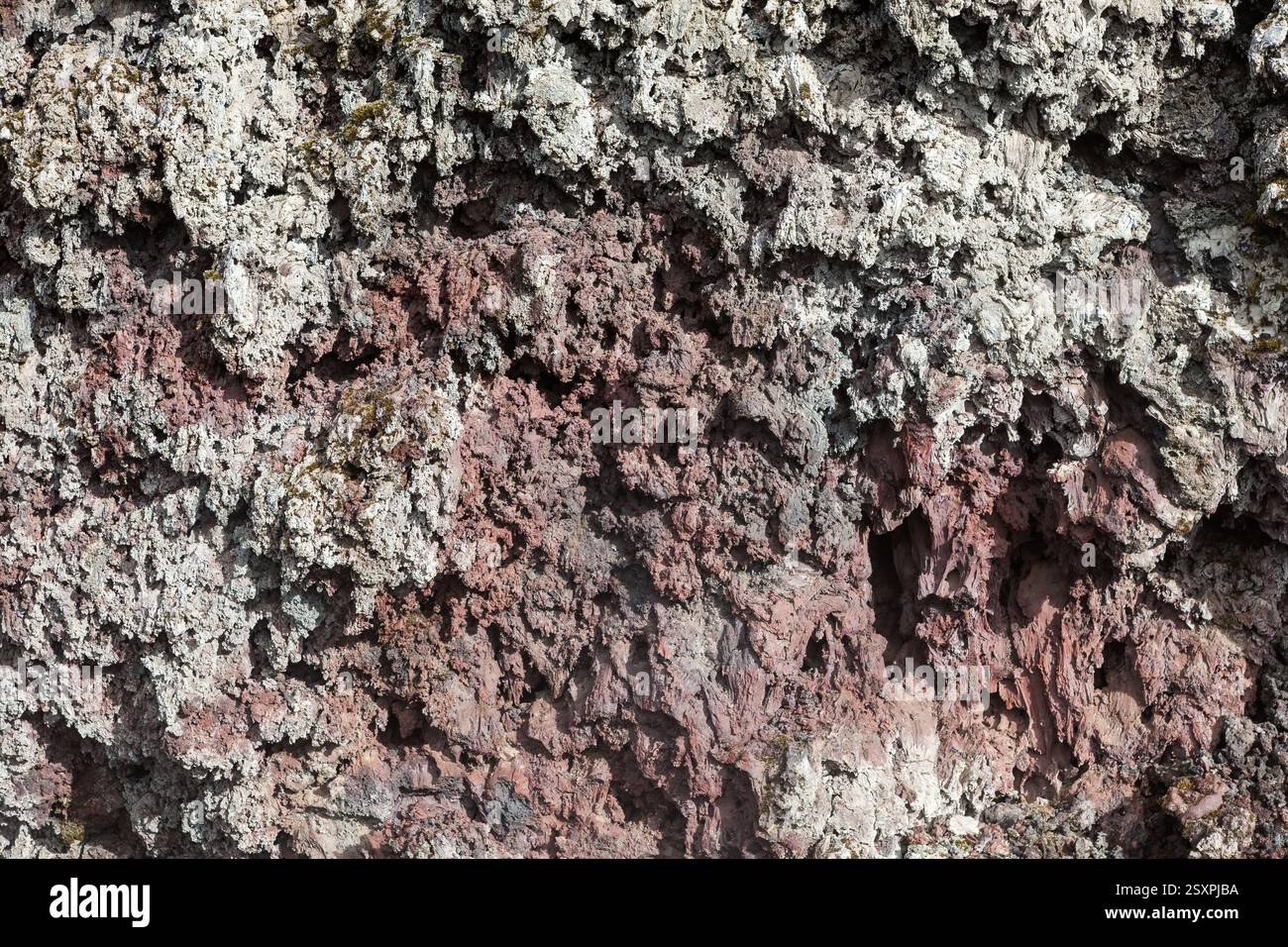 Natural lava formations in Icelandic national park Jokulsargljufur ...