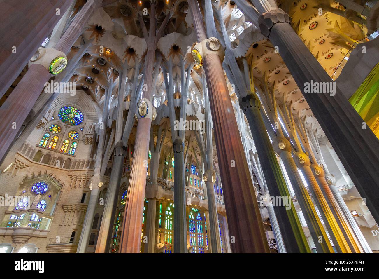 columns and arches of the Sagrada Familia Stock Photo - Alamy