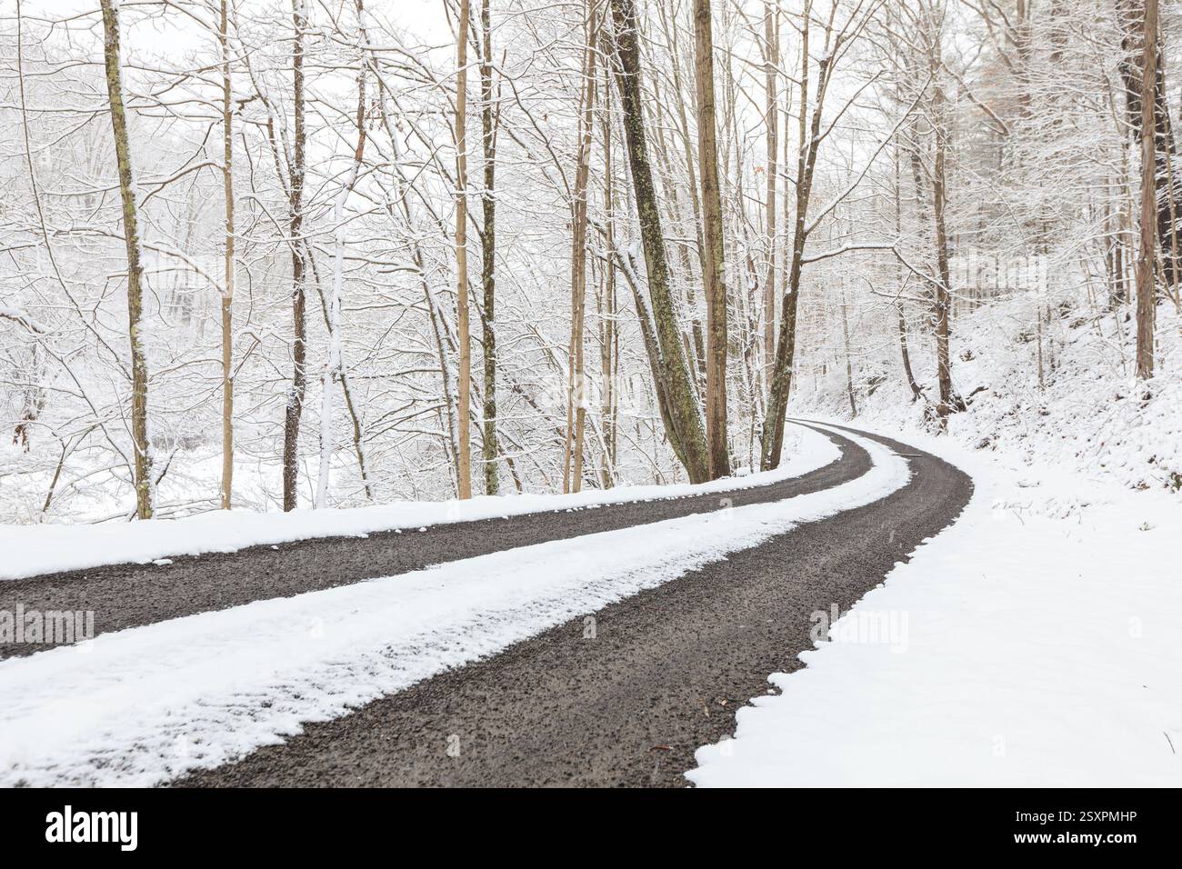 Rural asphalt road curving hi-res stock photography and images - Alamy