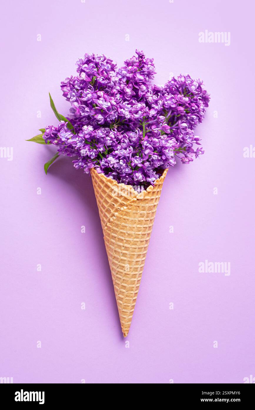 Ice cream waffle cone with purple lilac flowers on pastel background ...