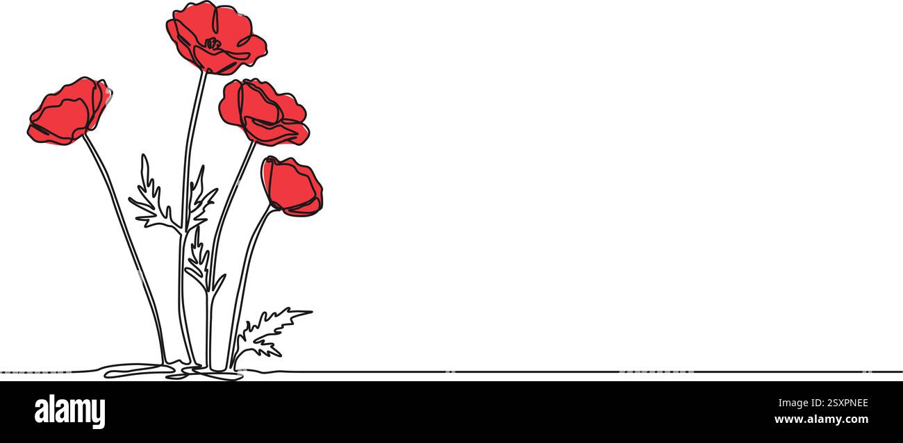colored continuous single line drawing of poppy flowers, wildflower ...