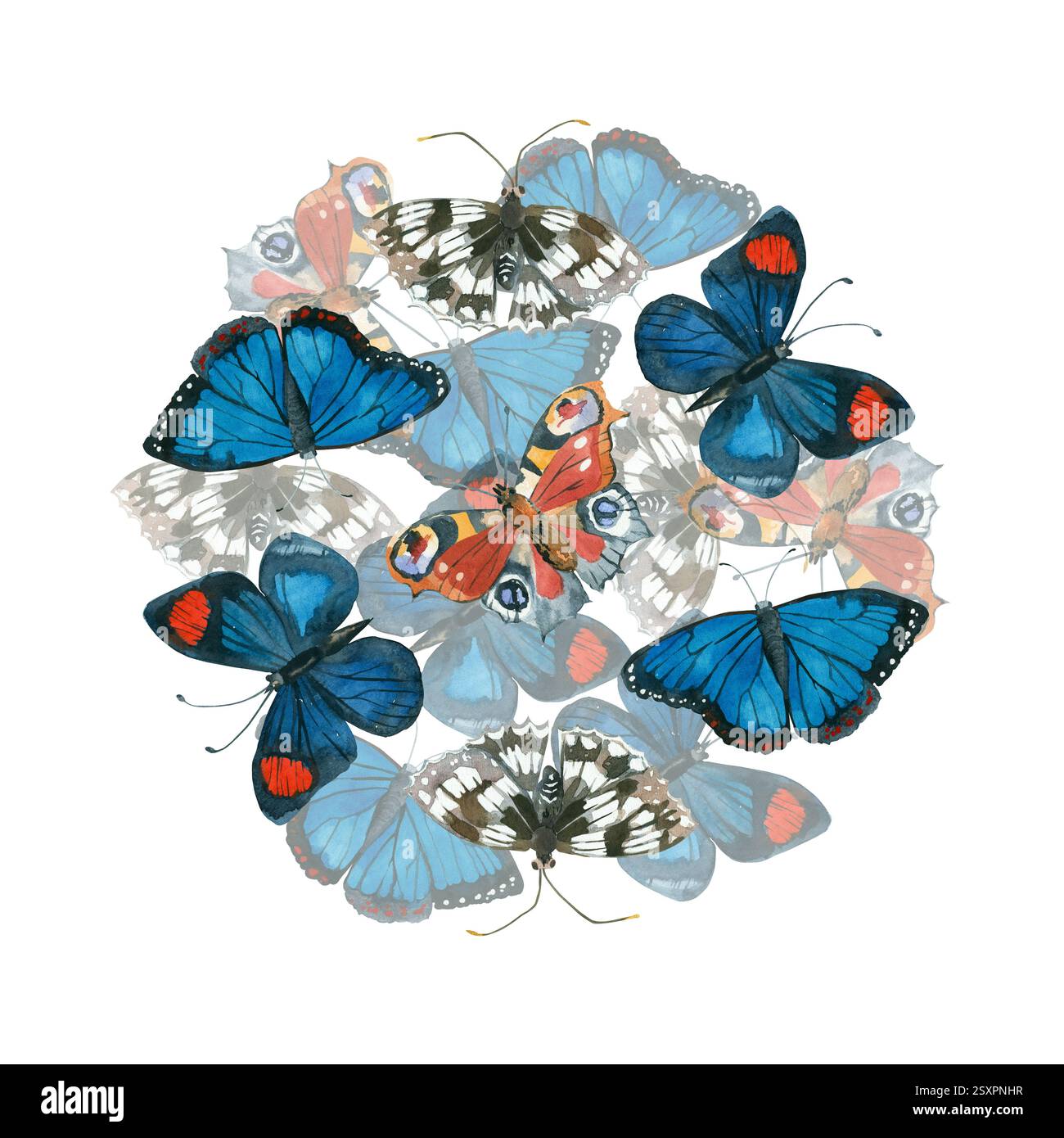 Round composition of butterflies of different colors, Peacock eye ...