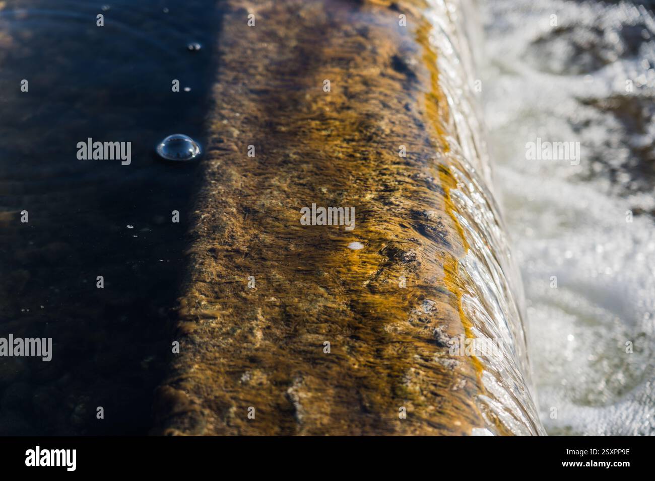 The waterfall is nearby. Falling water in a waterfall. Foam from the ...